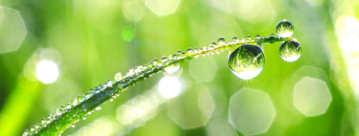 All You Need To Know About Dew Point And How It Differs From Humidity ...
