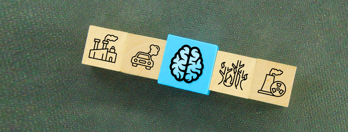 What are the Effects of Air Pollution on the Brain? – PurpleAir